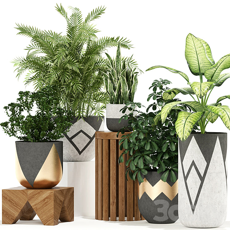 Plants collection 109 3Dsky Model Free Download – 3DSky Model Free