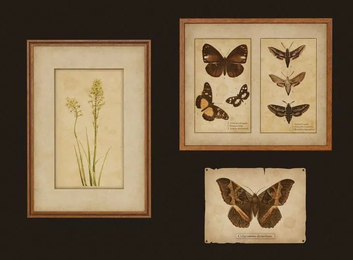 PBR Game 3D Models – Old Picture Frames – 3DSky Model Free